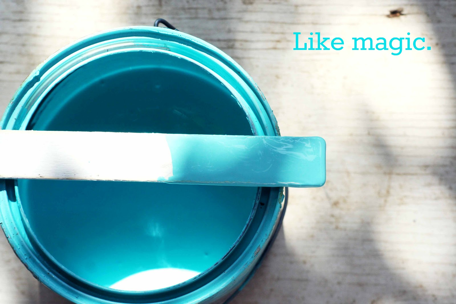 Picnics in the Park: Turquoise Paint