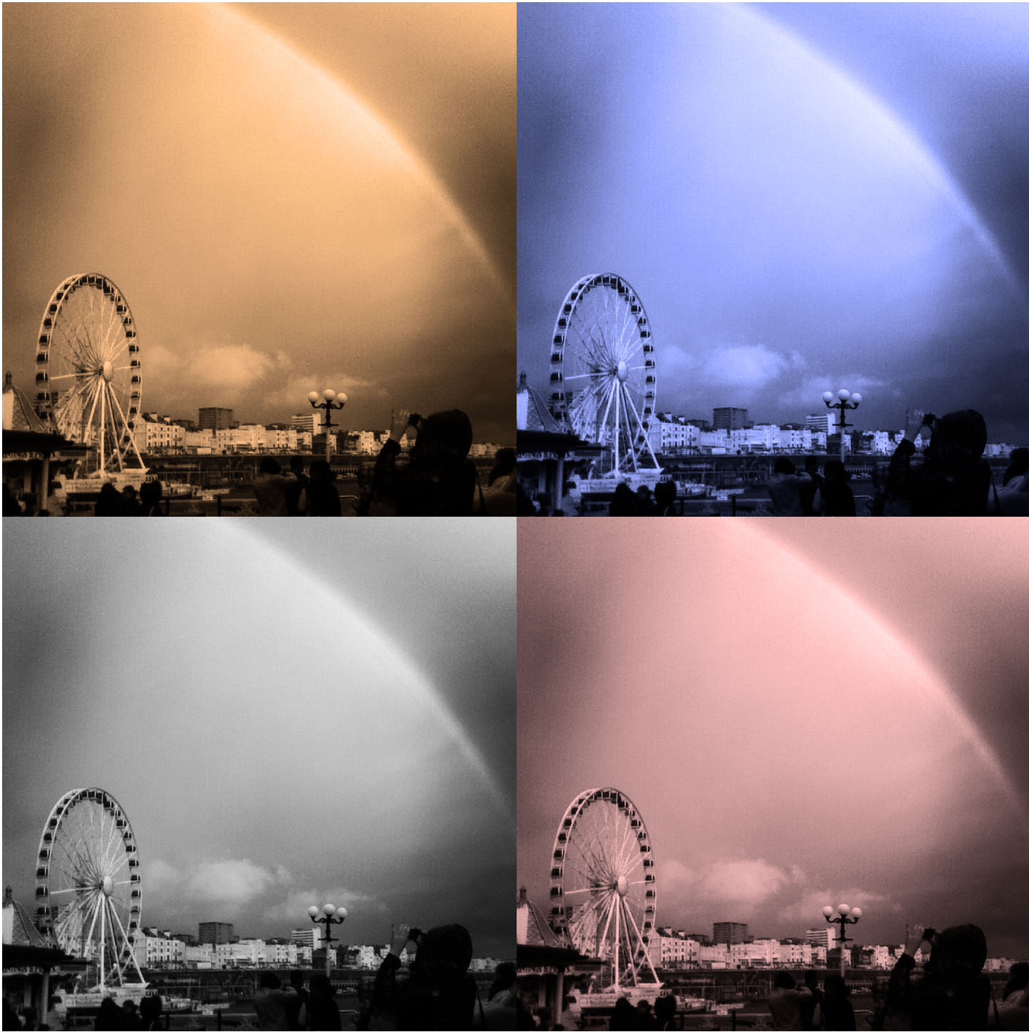 Rochelle Youngs Photography Blog: Toning prints