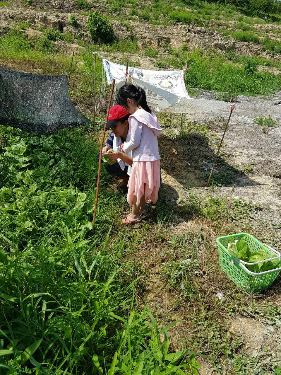 My finding / explorer in KL life