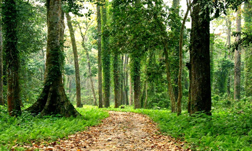 10 Top visiting places in Dooars - Travel Album