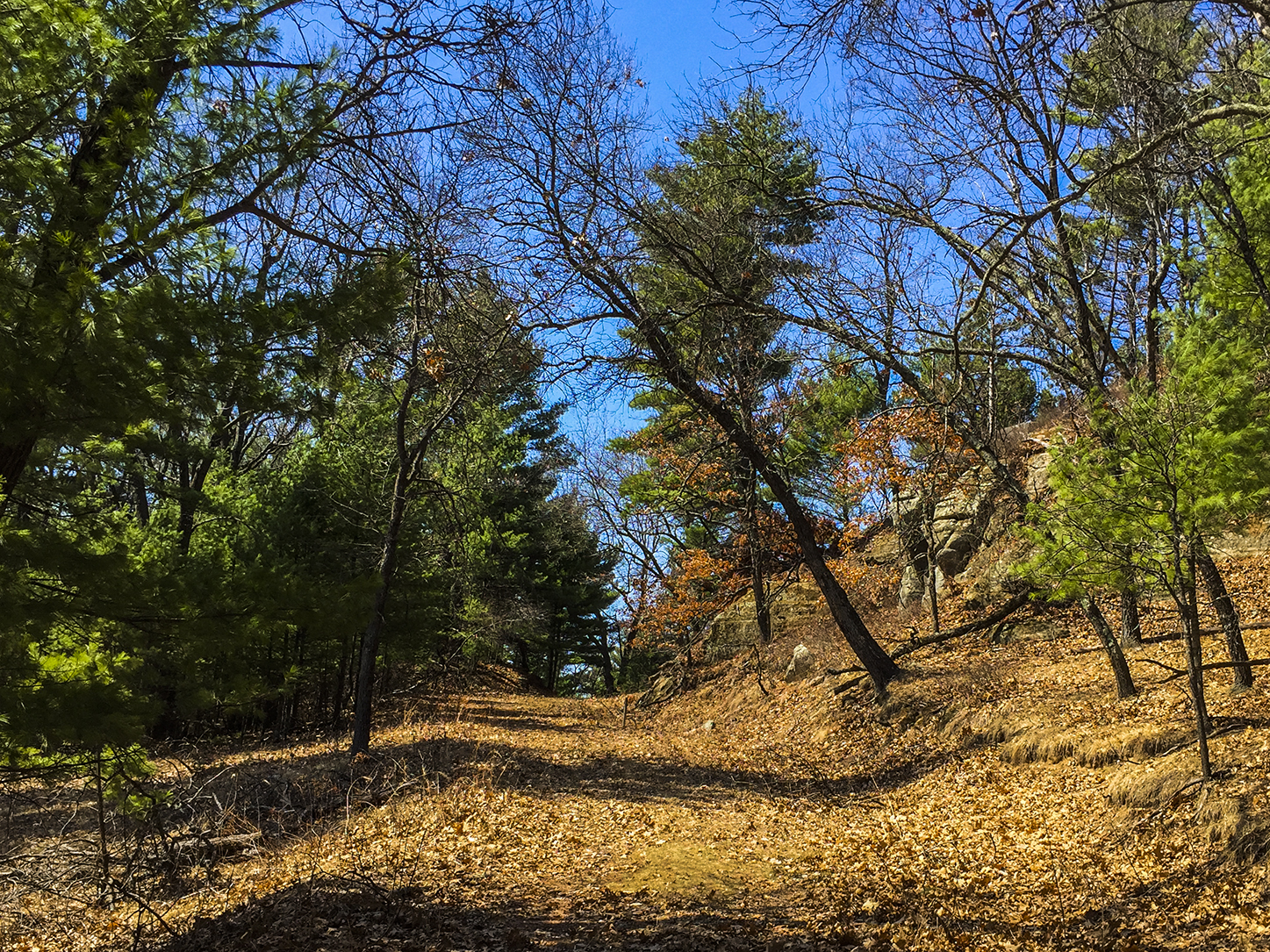 Hiking Quincy Bluff - Friendship WI