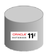 Arsitektur Database Oracle - 1. Sekilas DataBase Oracle ~ Mudah Belajar ...
