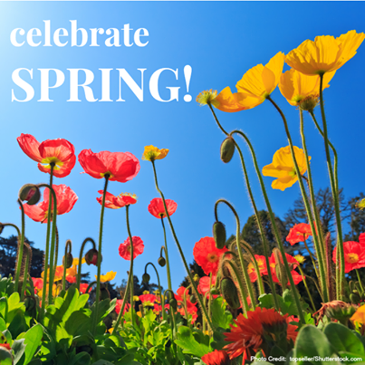 Learn English and Spanish - Aprende Inglés y Español: Spring is Coming ...