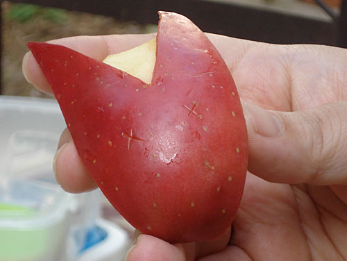 Just Another Static Heart: Bento Journey: Apple Rabbit Tutorial