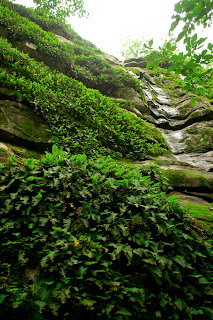One State, Two Boys: Moss Rock Preserve - Hoover, Alabama - July 15, 2011