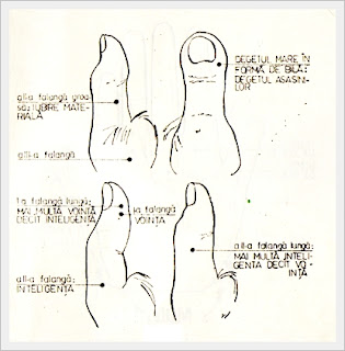 Chiromanție sau scurtă incursiune în lumea mâinilor