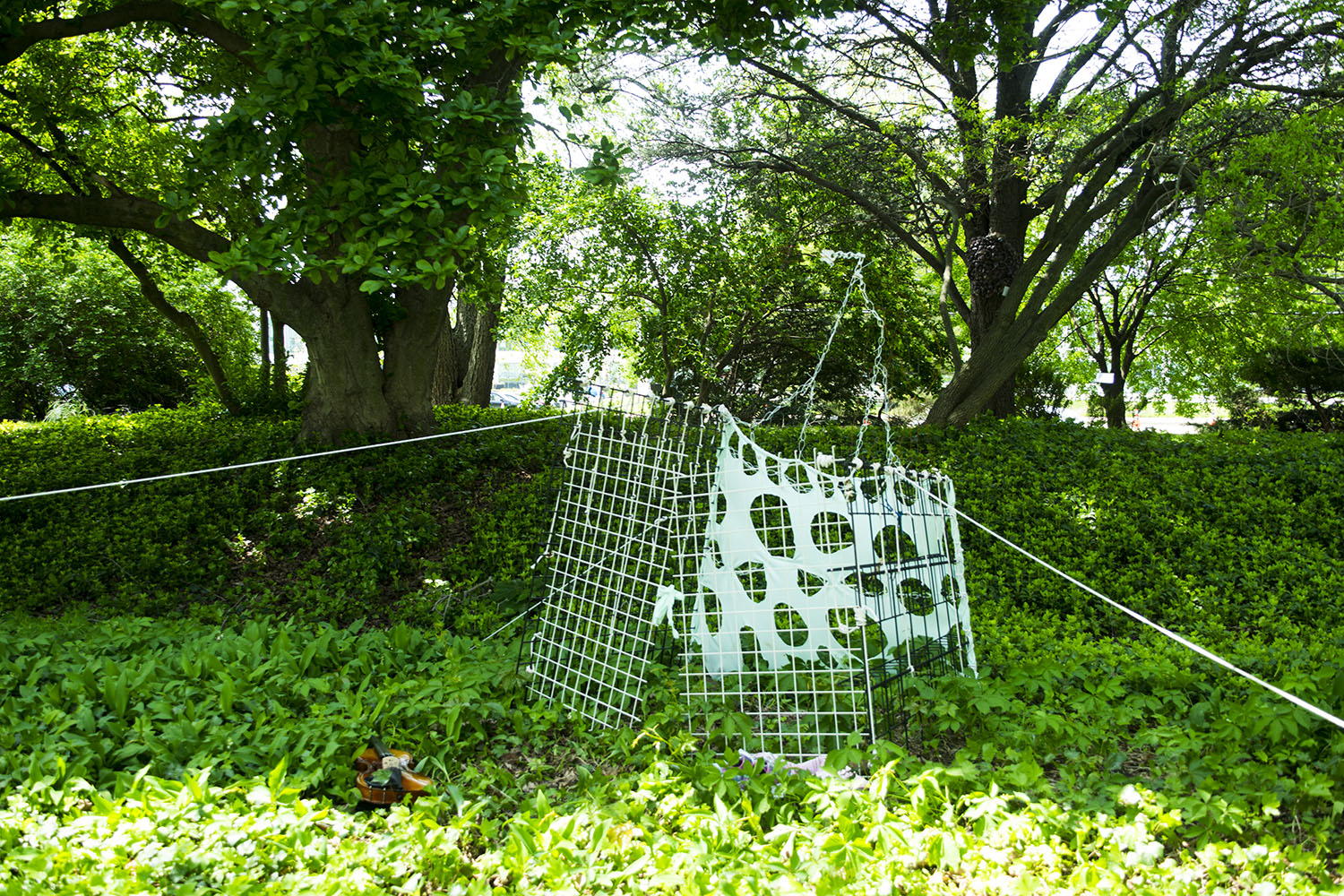 Advanced Sculpture: Brenna Smith