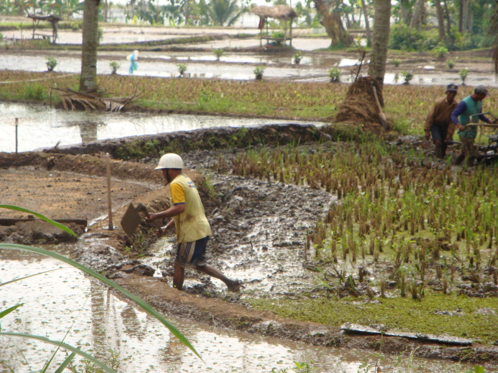 Indonesia will become a better Country in 2025 - I Love Indonesia