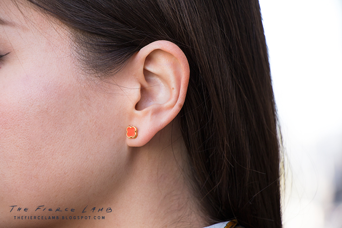 The Fierce Lamb: Setagaya | 世田谷