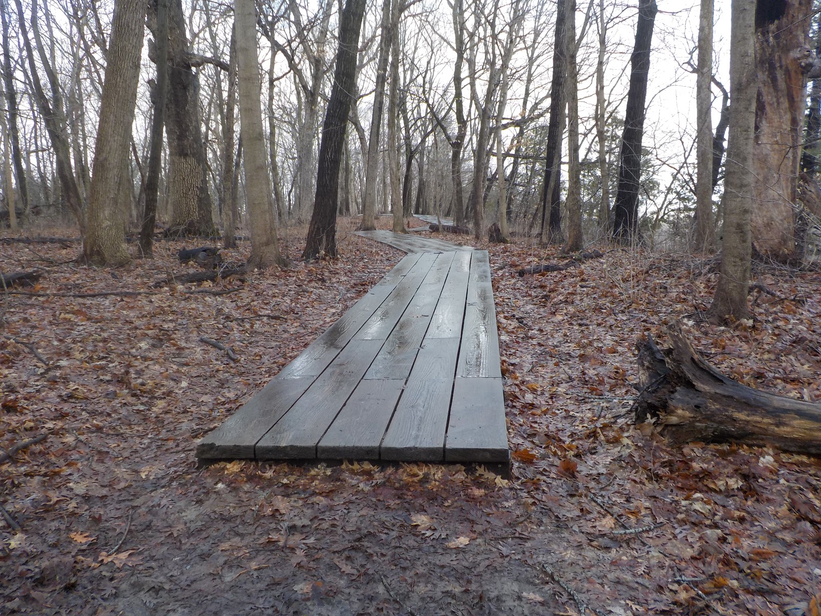 Hike Starved Rock: St. Louis, Kickapoo, Sac and Aurora Canyons March 14 ...