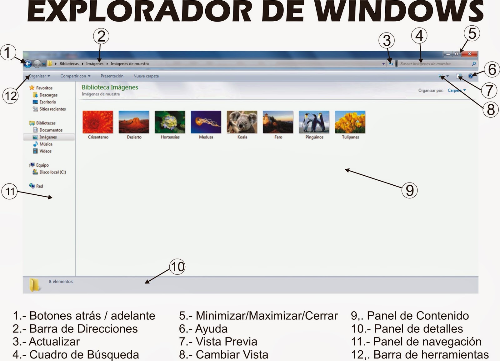 CLASES DE INFORMATICA: Explorador de Windows 2015