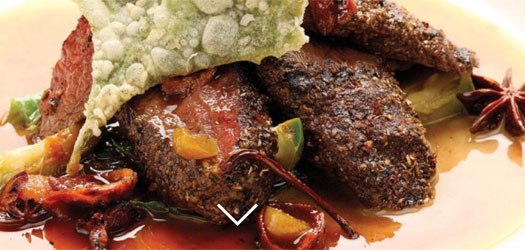 Port Elizabeth Airport: The Top 4 Australian Native Foods: Must Try!