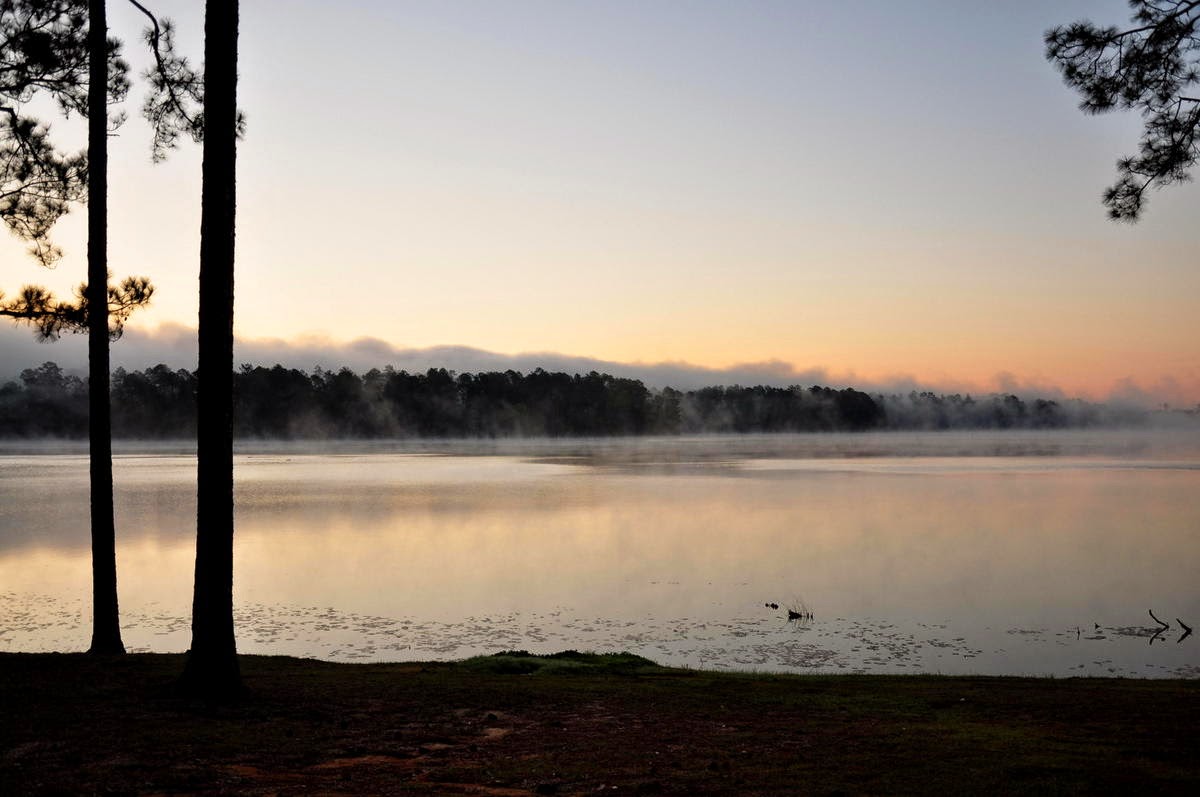 Hitchin' To Go: Paul B. Johnson State Park, Mississippi