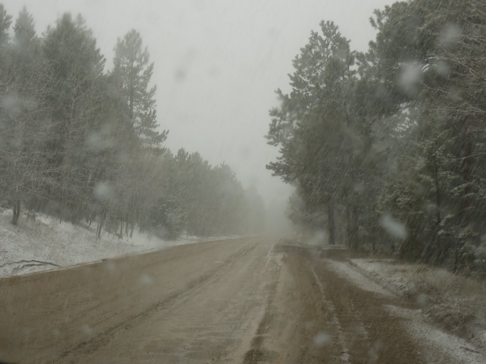 BQ by 40: Boulder Classic Run #2: Magnolia Road