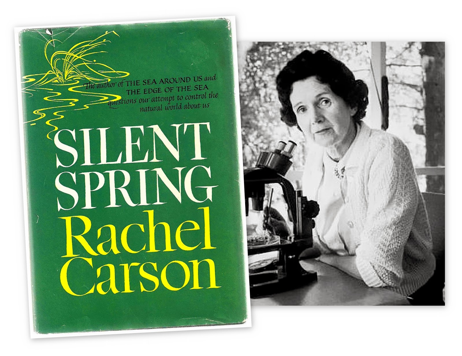 Living the Dreamsicle: May 27 - Rachel Carson