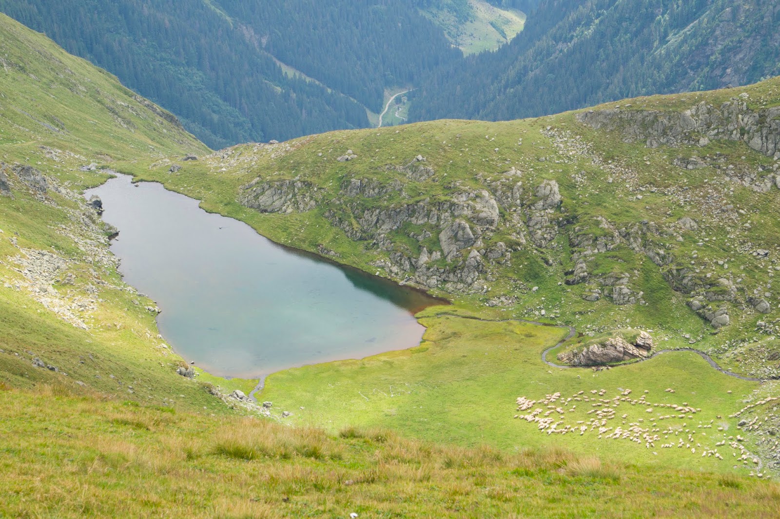 Noapte de vară pe vârful Râiosu (4-5 august 2018) | Banda Roșie