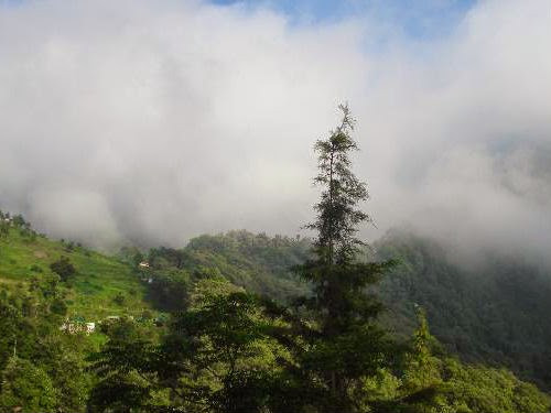 Offbeat Tour: March 2014