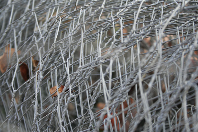 avril 2015 | Mary & Patch