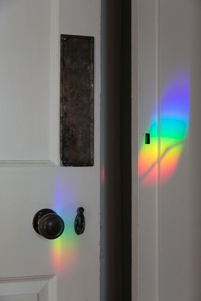 Shadows & Light: Fuzzy