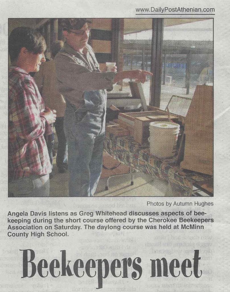 Greg's Bee Adventure