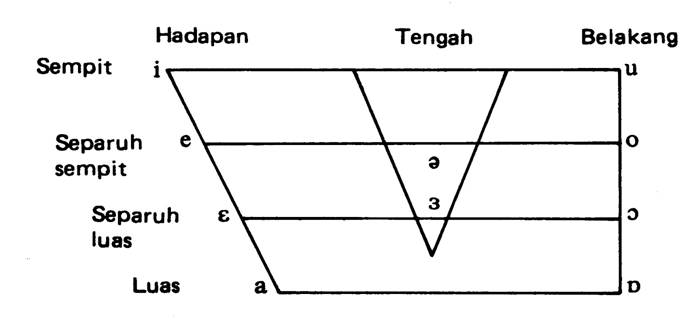 Cakna Bahasa: Artikulasi dan Artikulator
