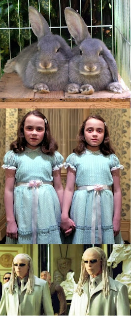 Rabbit Ramblings: Bunny-human look-a-likes -- Doppelgangers