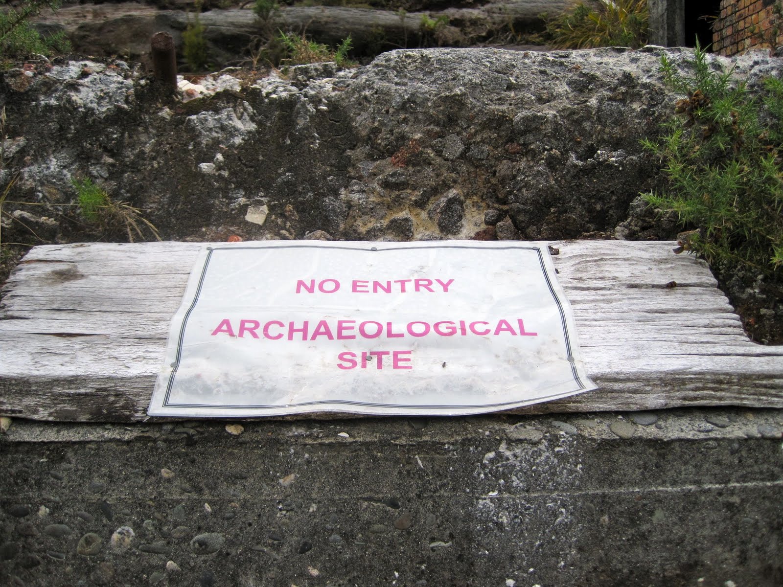 Carolyn in Aotearoa: The Mines of Millerton (Yes, Millerton, not Moria)