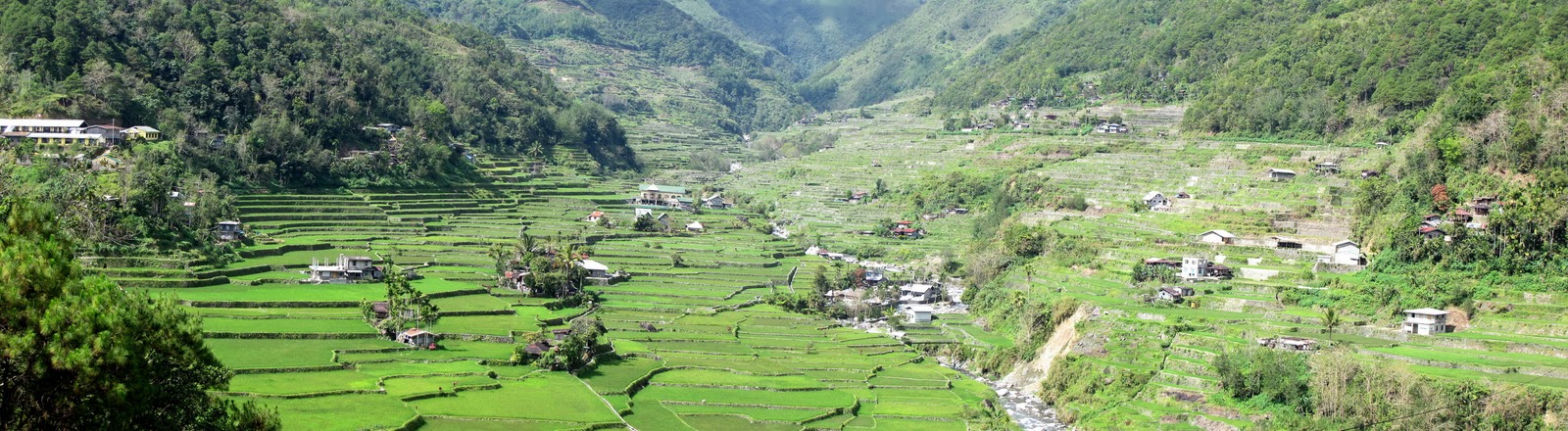 What not to do when travelling: Hapao's Rice Terraces