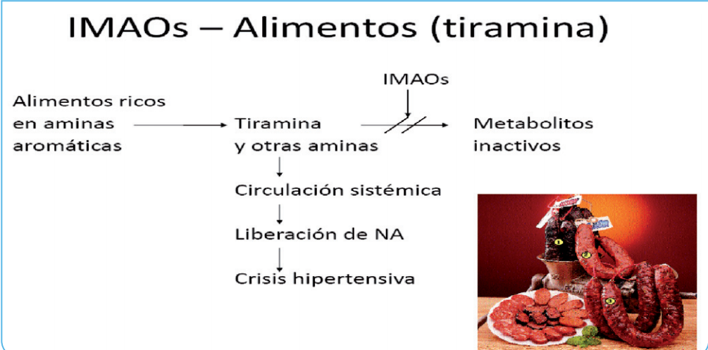 NUTRICIÓN: La cara desconocida