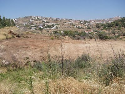 Δασαμάρι S.O.S.: Η «πρασινη αναπτυξη» καταστρεφει το πρασινο