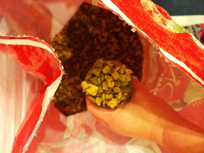 Gee Does The Purina One 28-Day Challege | Venus Trapped in Mars || Dallas