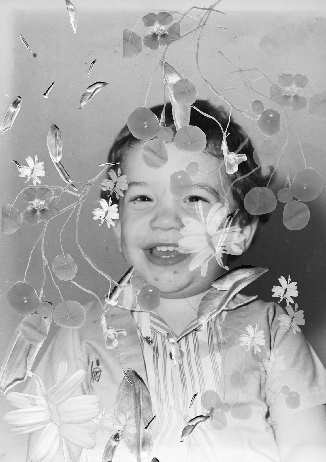 Christopher William Cook Design Portfolio: Jane Packer Branding