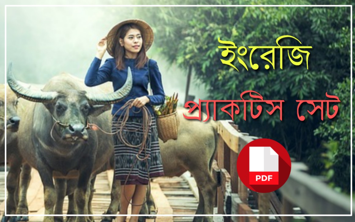 English Practice Set PDF For Competitive Exams English MCQ english-practice-set-pdf-for-competitive-exams-english-mcq