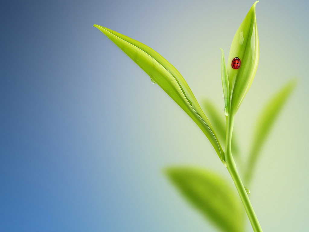 Top 10 Cool Twitter Nature Backgrounds - Just Amazing Things