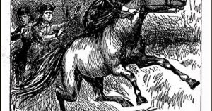 Family legends: Mary Ramage Dillard - wife, mother and soldier in the ...