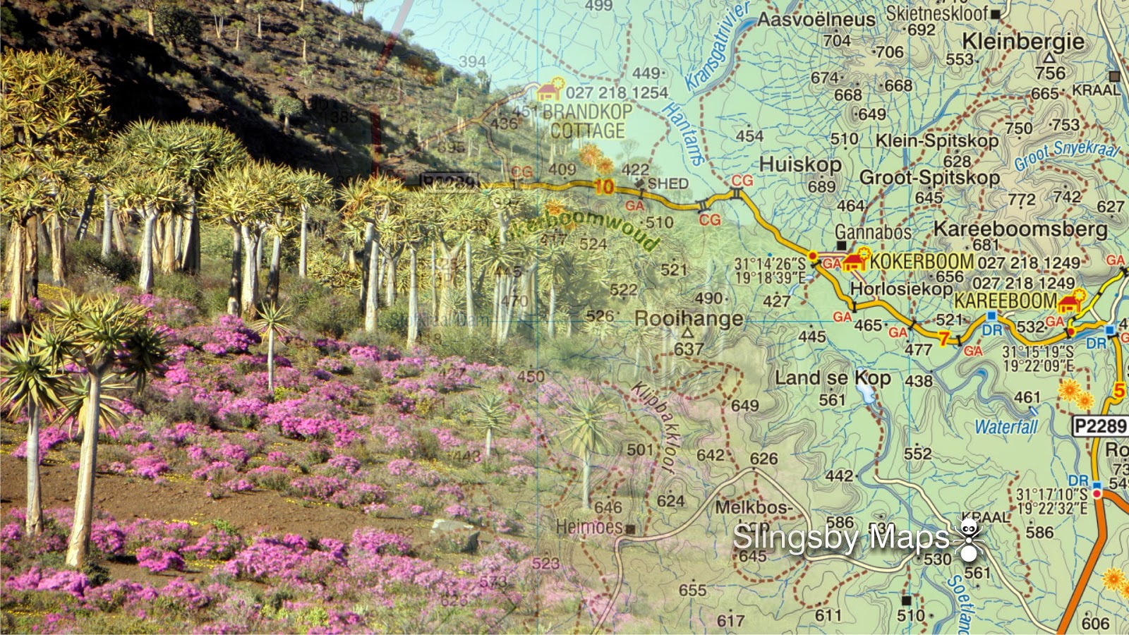 Hike the Cederberg: the Map: Report Back #33: new Cederberg Touring map ...