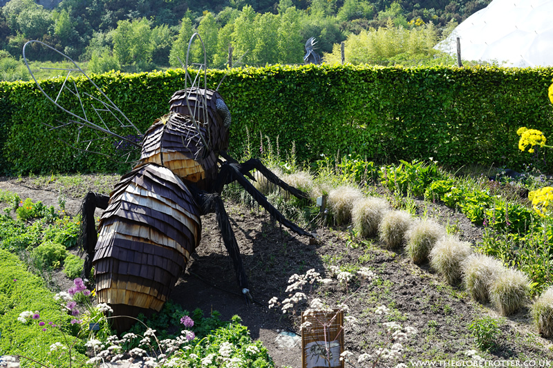 Top things to do at Eden Project in Cornwall - The Globe Trotter
