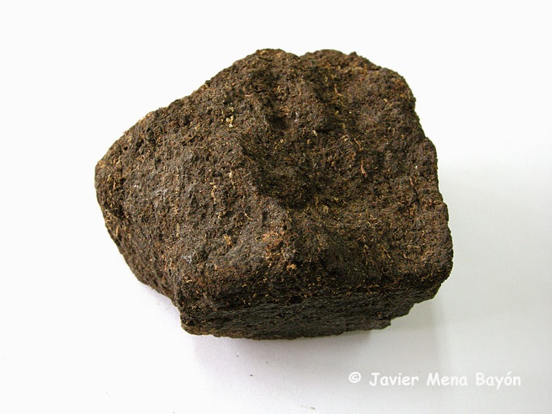 biologia2bachcamp: TEMA 7. 1º BACHILLERATO. ROCAS SEDIMENTARIAS