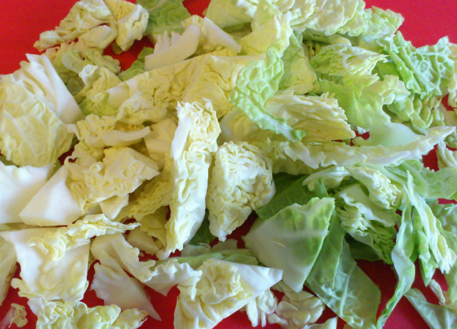 REPOLLO A LA PAISANA | Cocina