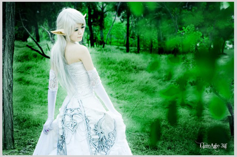 Lineage Cosplay : Beautiful Elf Cosplay with Beautiful Photo effects ...