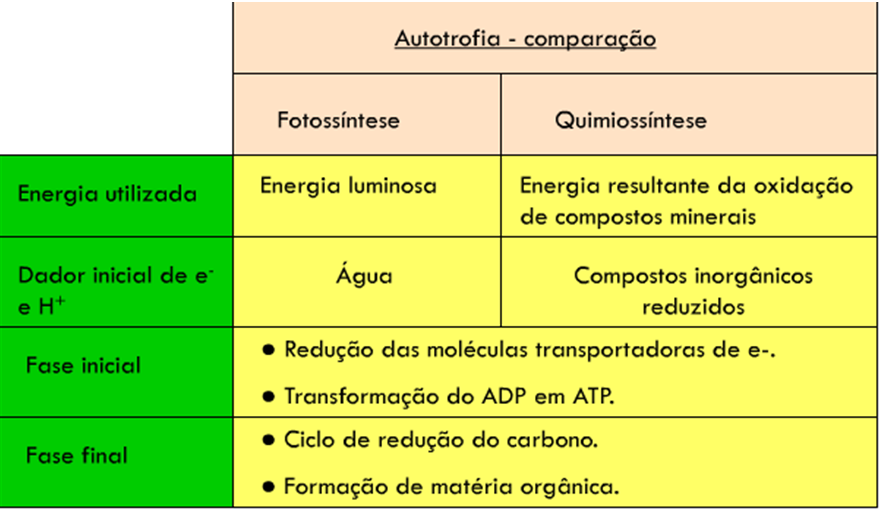 BioGeo: Quimiossíntese-Fotossíntese