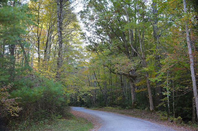 Sweet Southern Days: Parson Branch Road In The Great Smoky Mountains ...