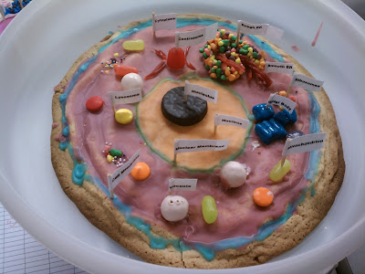 Ms. Corson's Science Class: 3D Cell Model Projects were a hit!