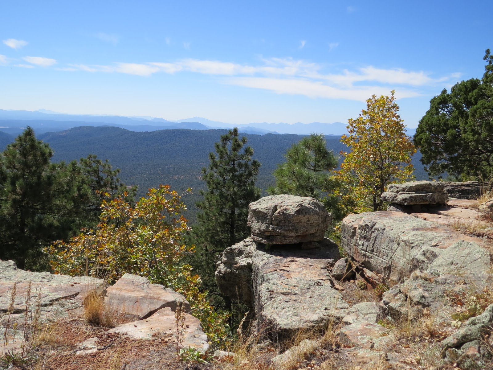 Have Book, Will Travel: Rim Lakes Vista Trail #622, Mogollon Rim, Arizona