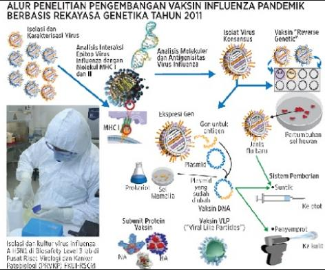 PERANAN VIRUS DALAM KEHIDUPAN ~ MATERI DAN SOAL IPA UNTUK SMA
