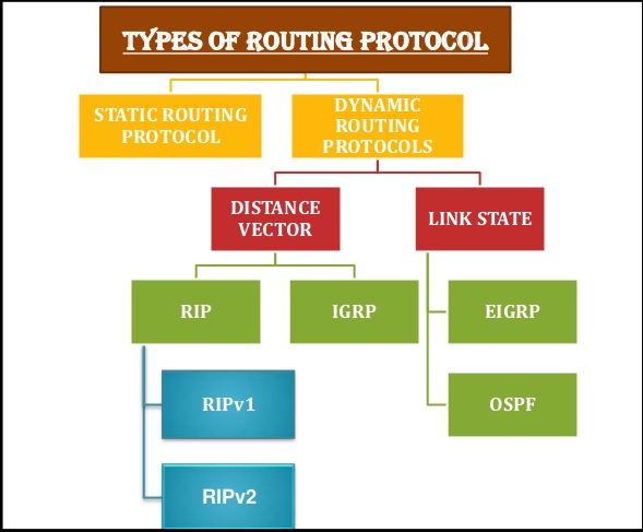What is Routing protocol