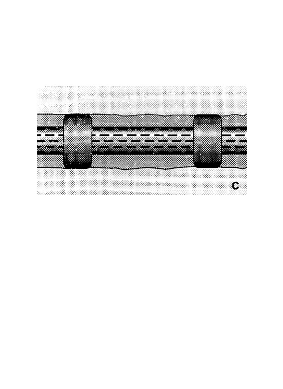 Horizontal well completion | petroleum pedia