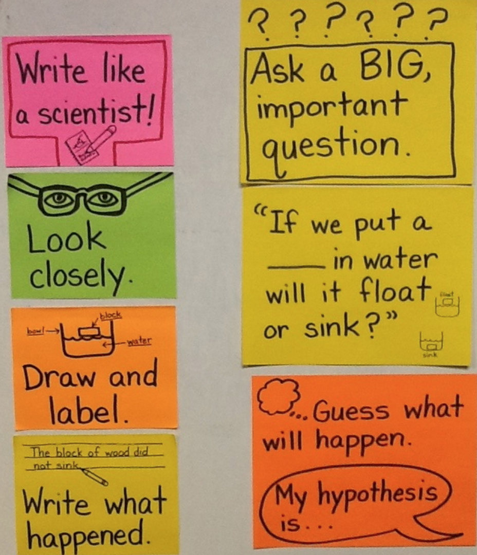 ELA Anchor Charts: Write Like a Scientist
