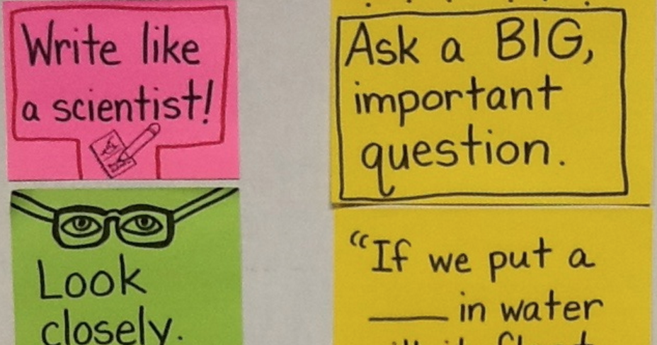 ELA Anchor Charts: Write Like a Scientist