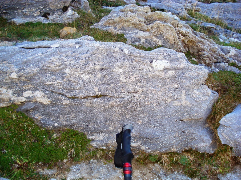 De la Cola de Caballo a Góriz. Geología en Ordesa y Monte Perdido (III ...